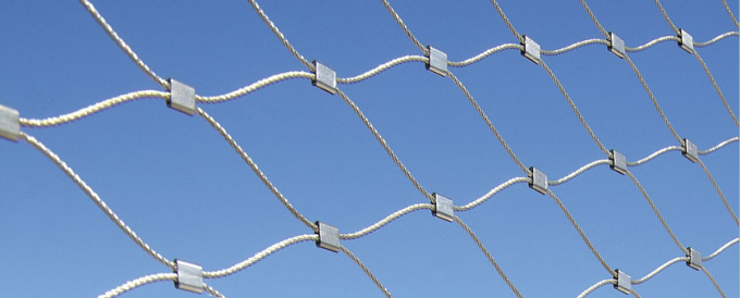 Malla de alambre tejida Inox del parque zoológico de la cuerda, malla ...